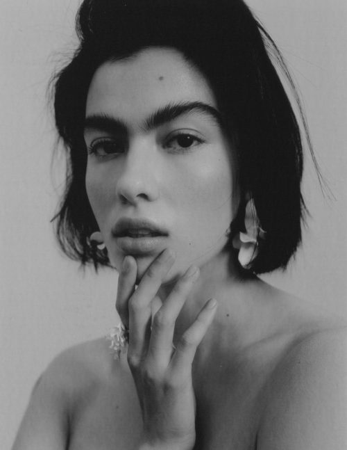 Vivi Cazotti - The Hive