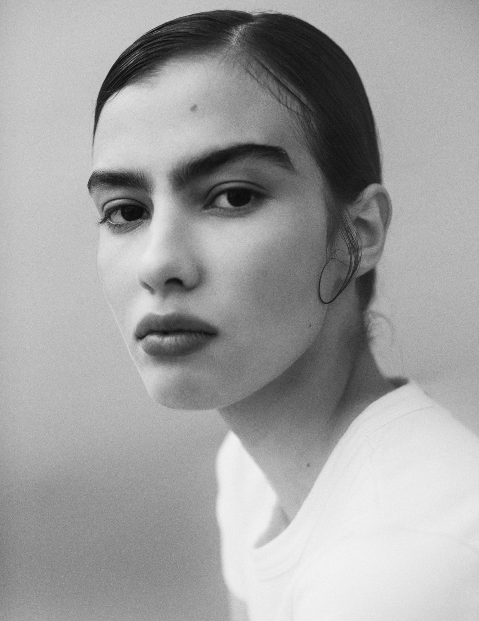 Vivi Cazotti - The Hive