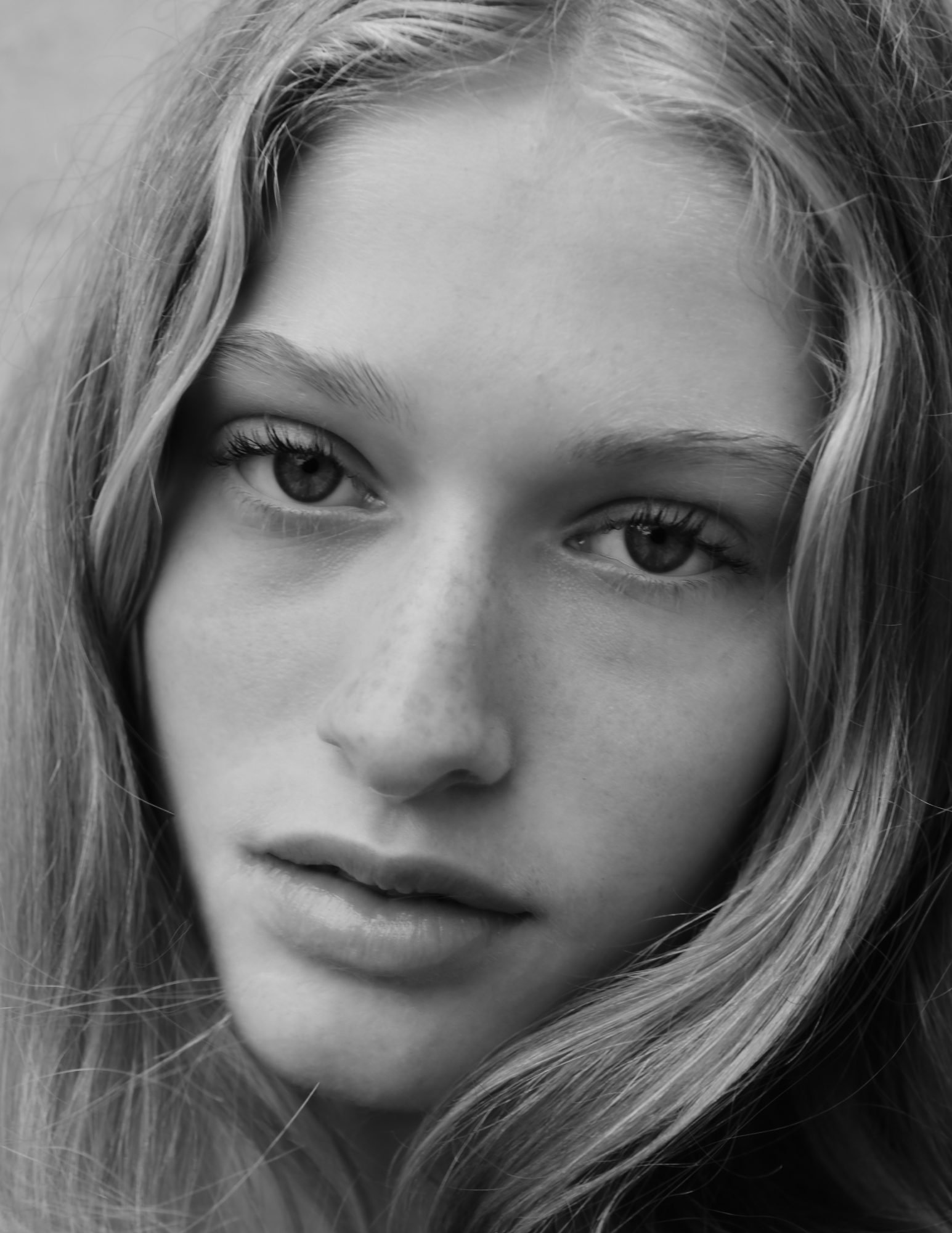 Faustine Meyer - The Hive