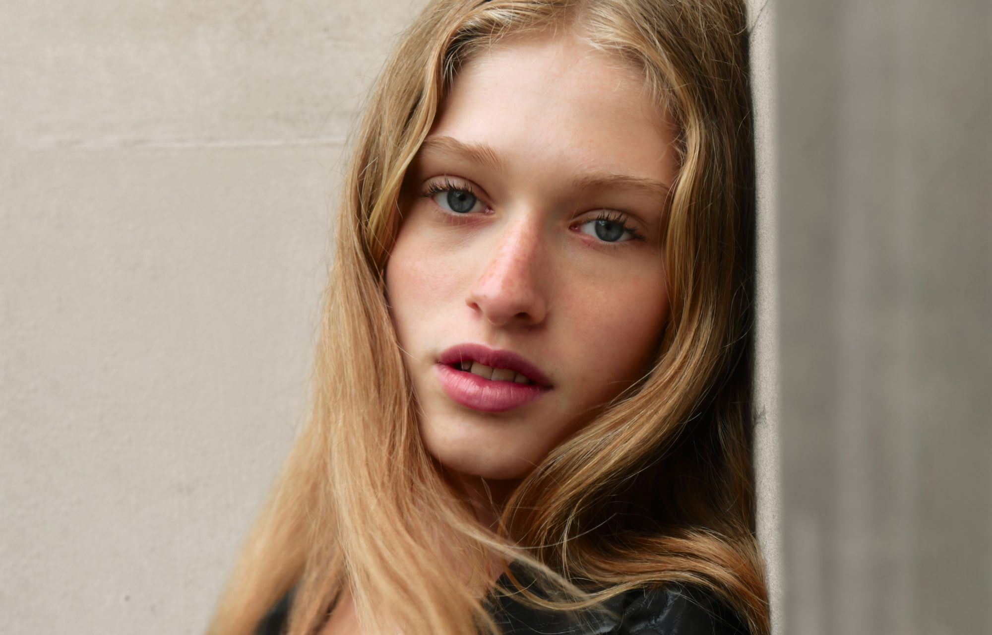 Faustine Meyer - The Hive