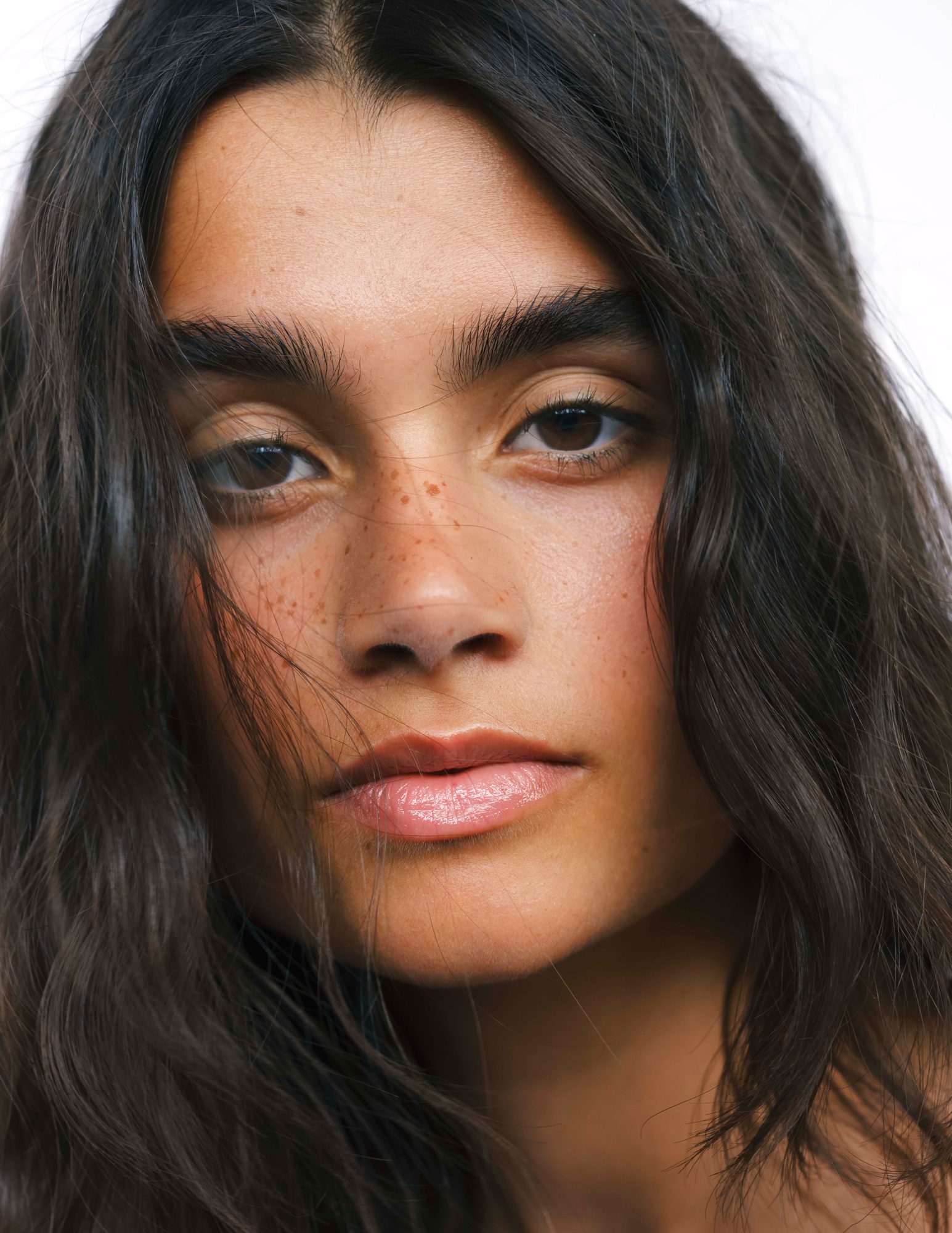 Lara Connor - The Hive